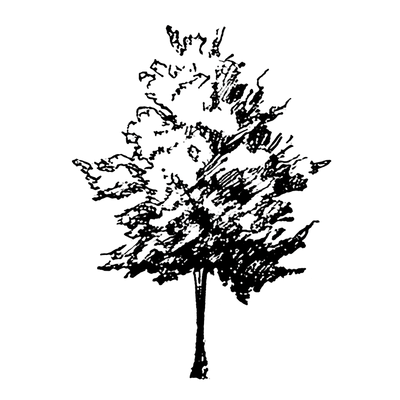 LayerGrid Master Bundle (All Elements)