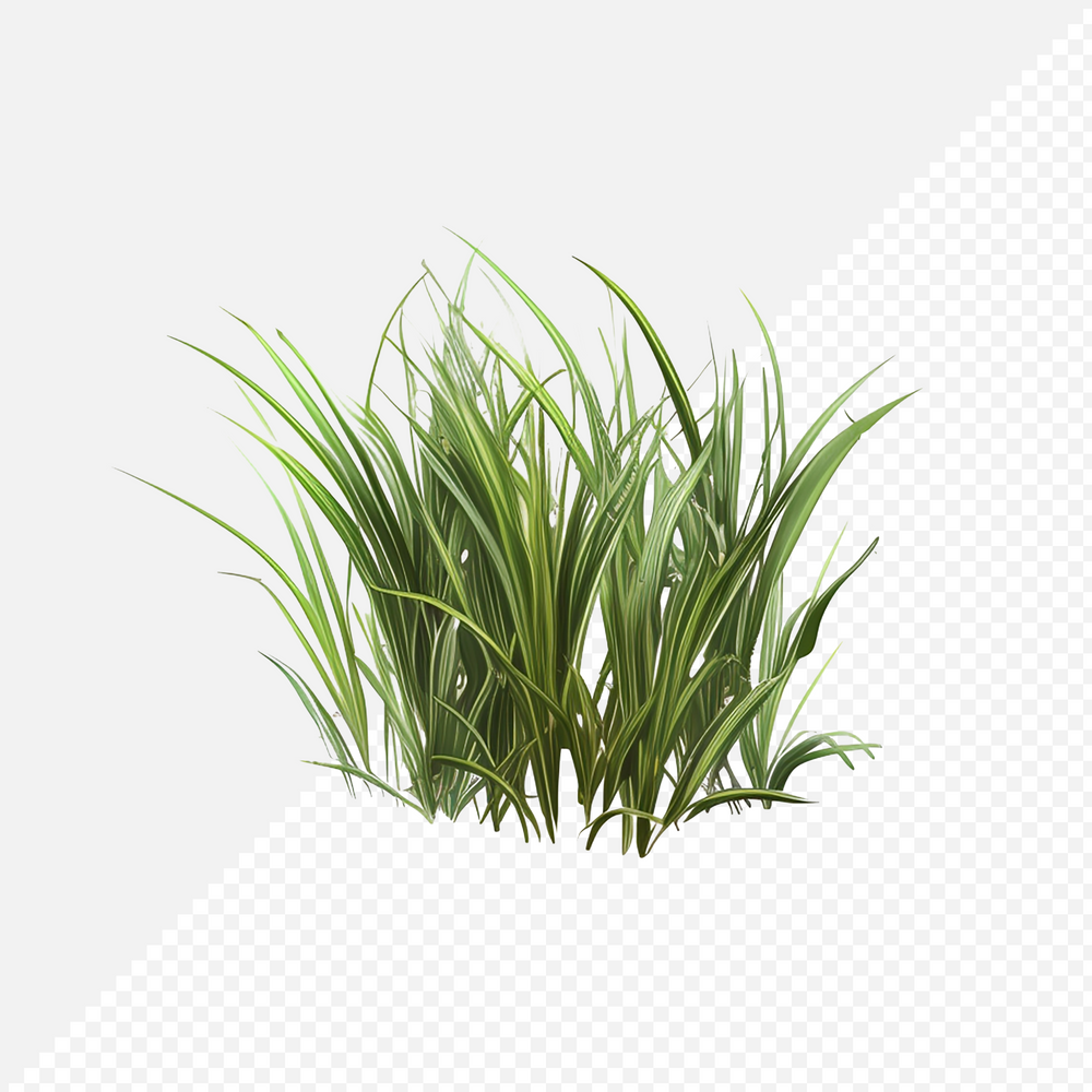 Realistic Vegetation Pack (Vol. 2) – LayerGrid