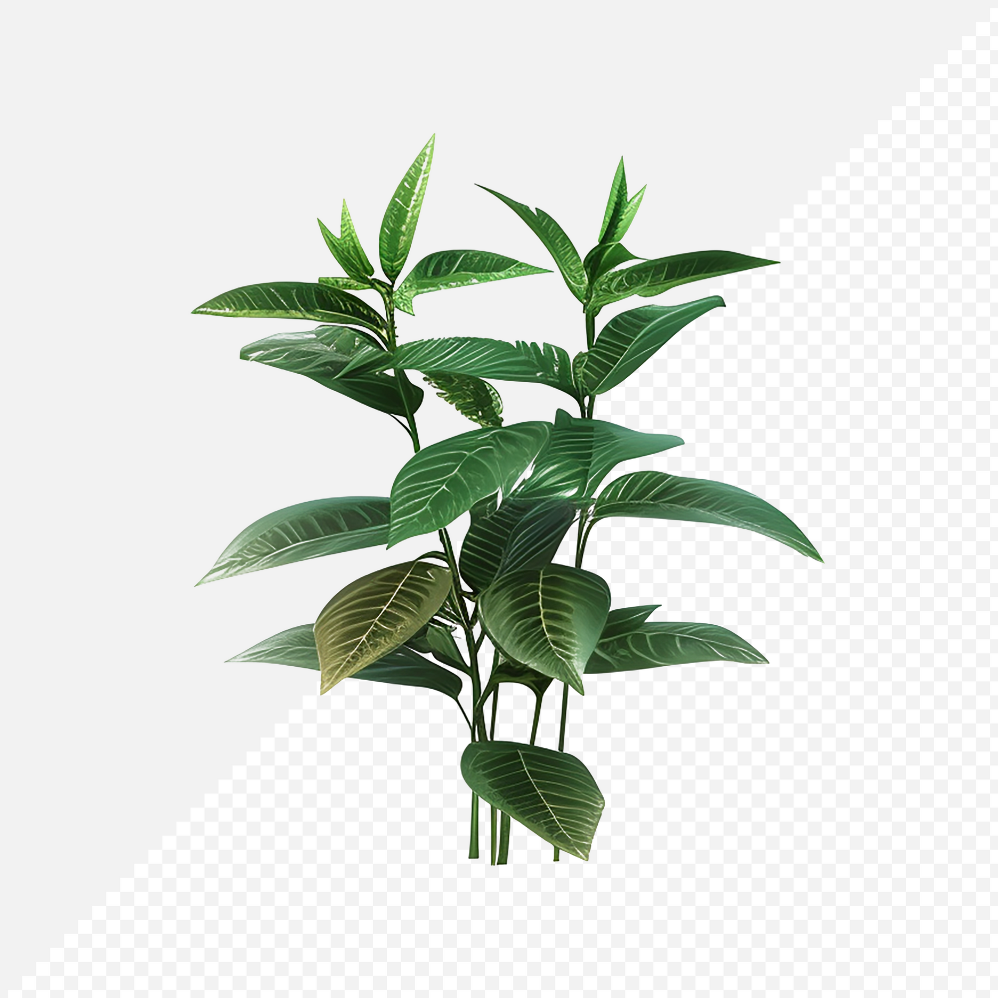 Realistic - Style Bundle (200 Elements) – LayerGrid