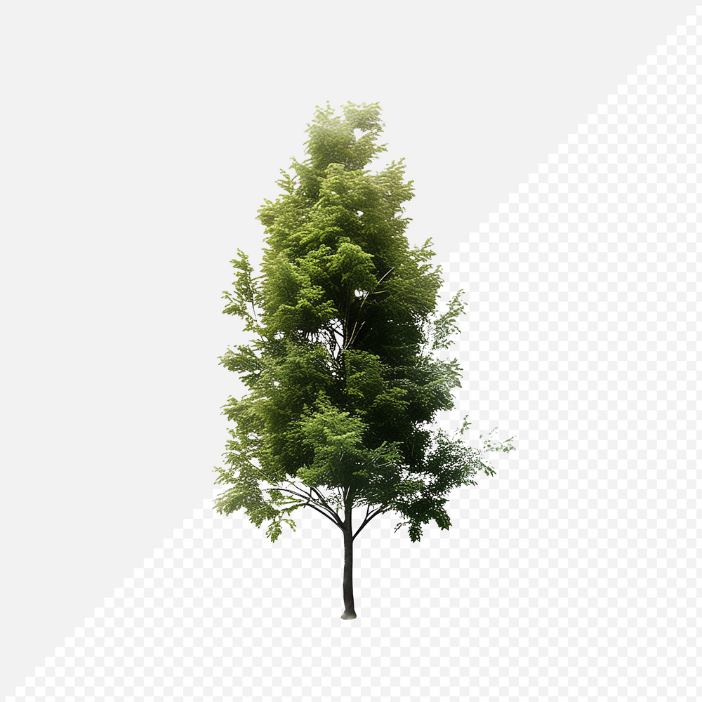 Realistic Vegetation Pack (Vol. 1) – LayerGrid