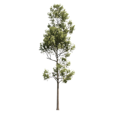 LayerGrid Master Bundle (All Elements)