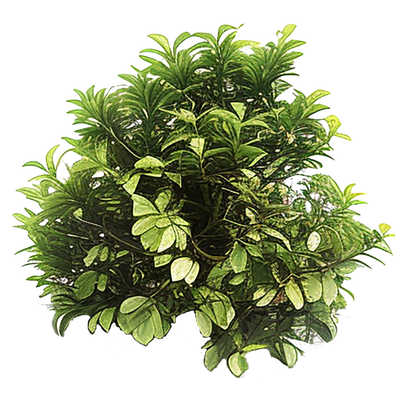 LayerGrid Master Bundle (All Elements)