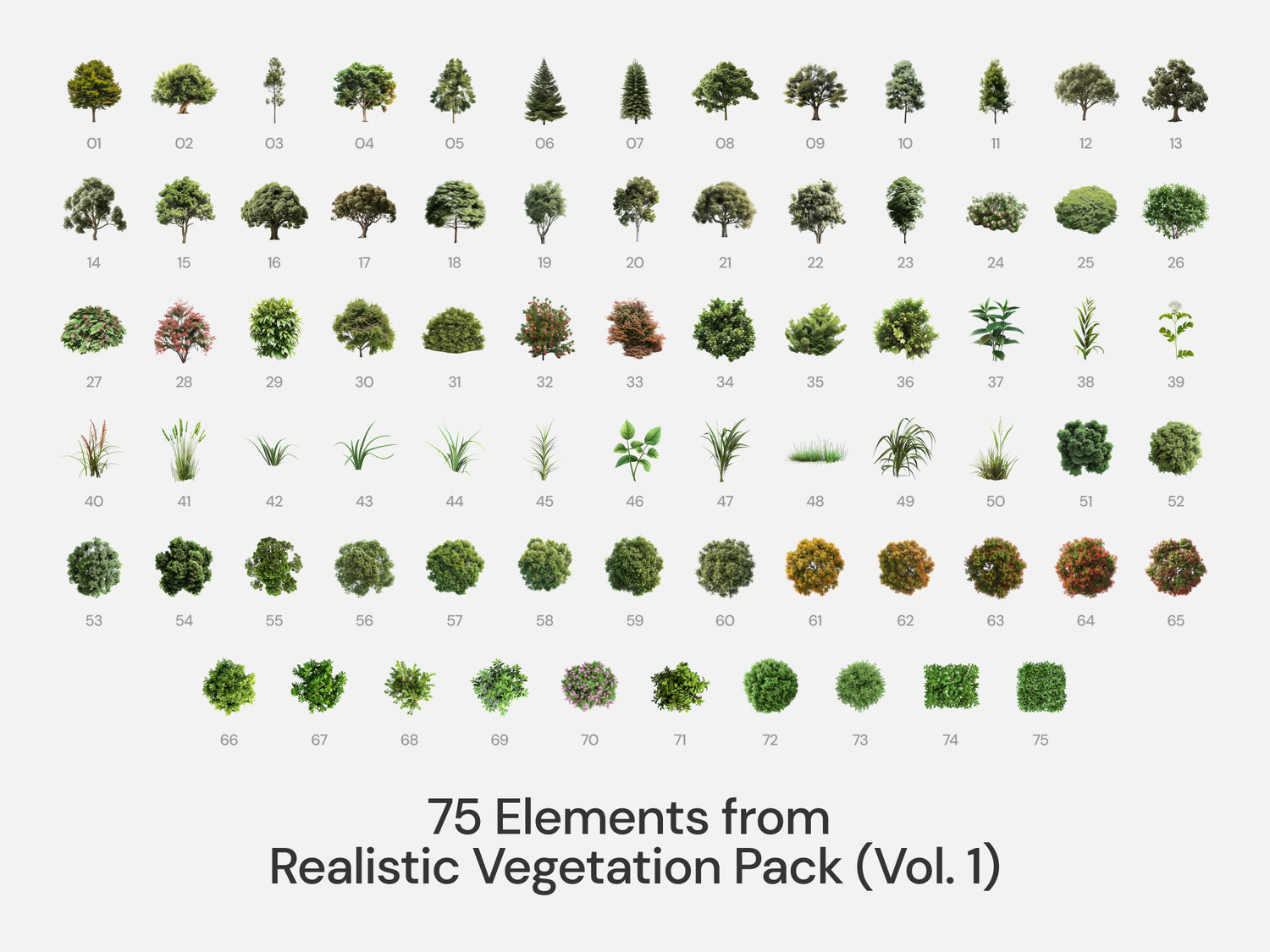 Realistic Vegetation Pack (Vol. 1) – LayerGrid